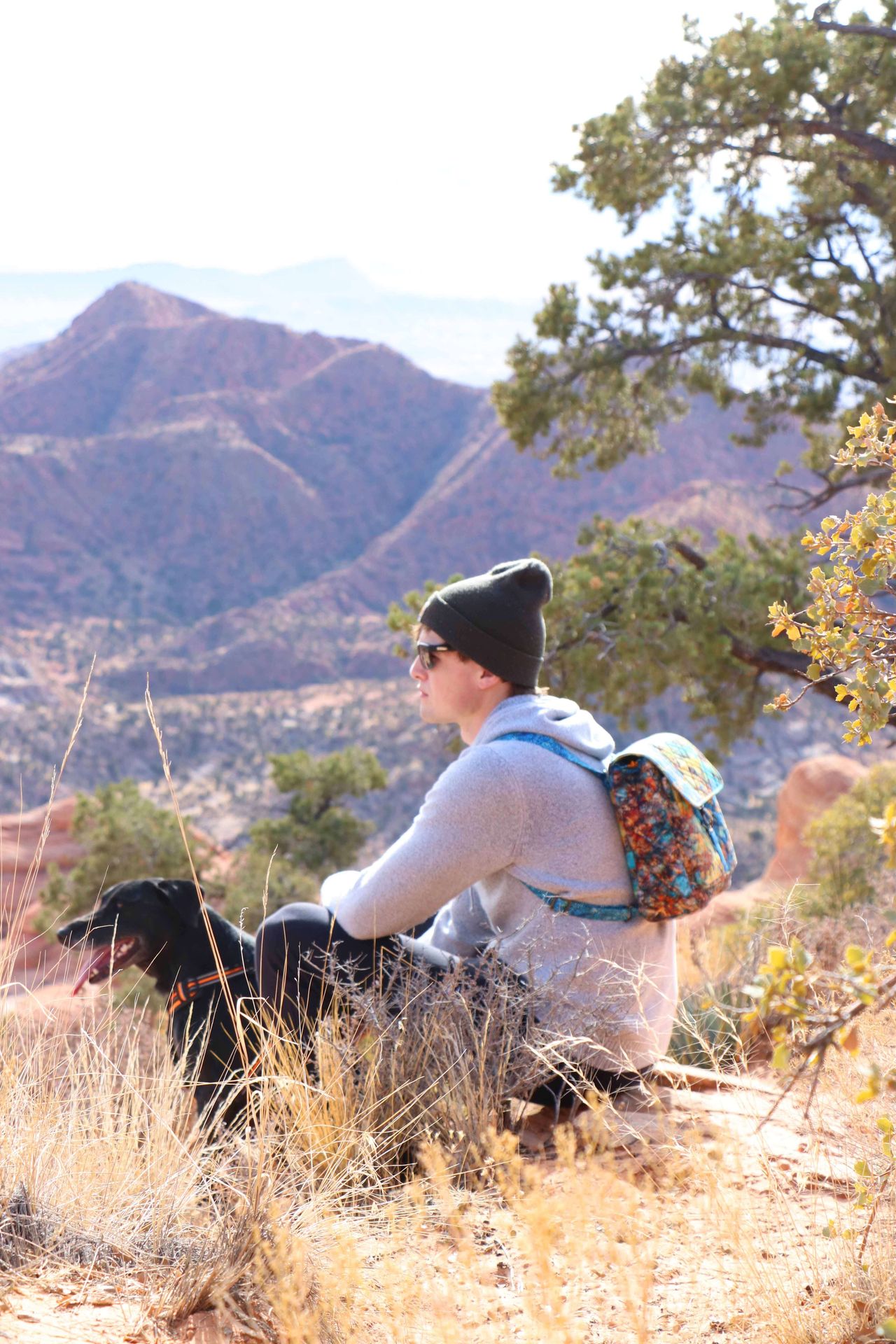 INTRODUCING: SWITCHBACK | ByAnnie.com